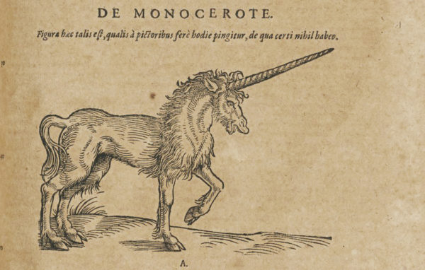 La licorne a gardé son secret pendant deux mille ans